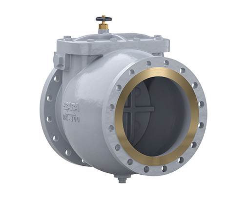 model CV/CVDB/CVRG | EBARA CORPORATION