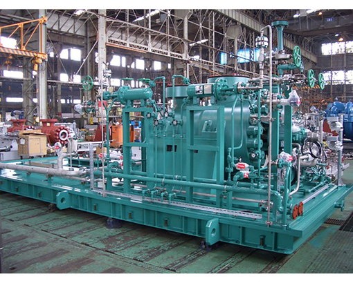 model DCS/DCD | EBARA CORPORATION