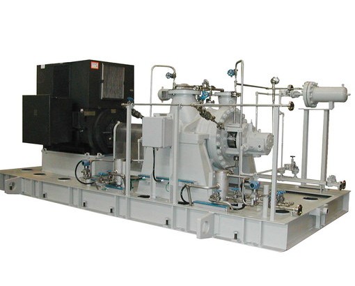 model VPCS/VPCH | EBARA CORPORATION